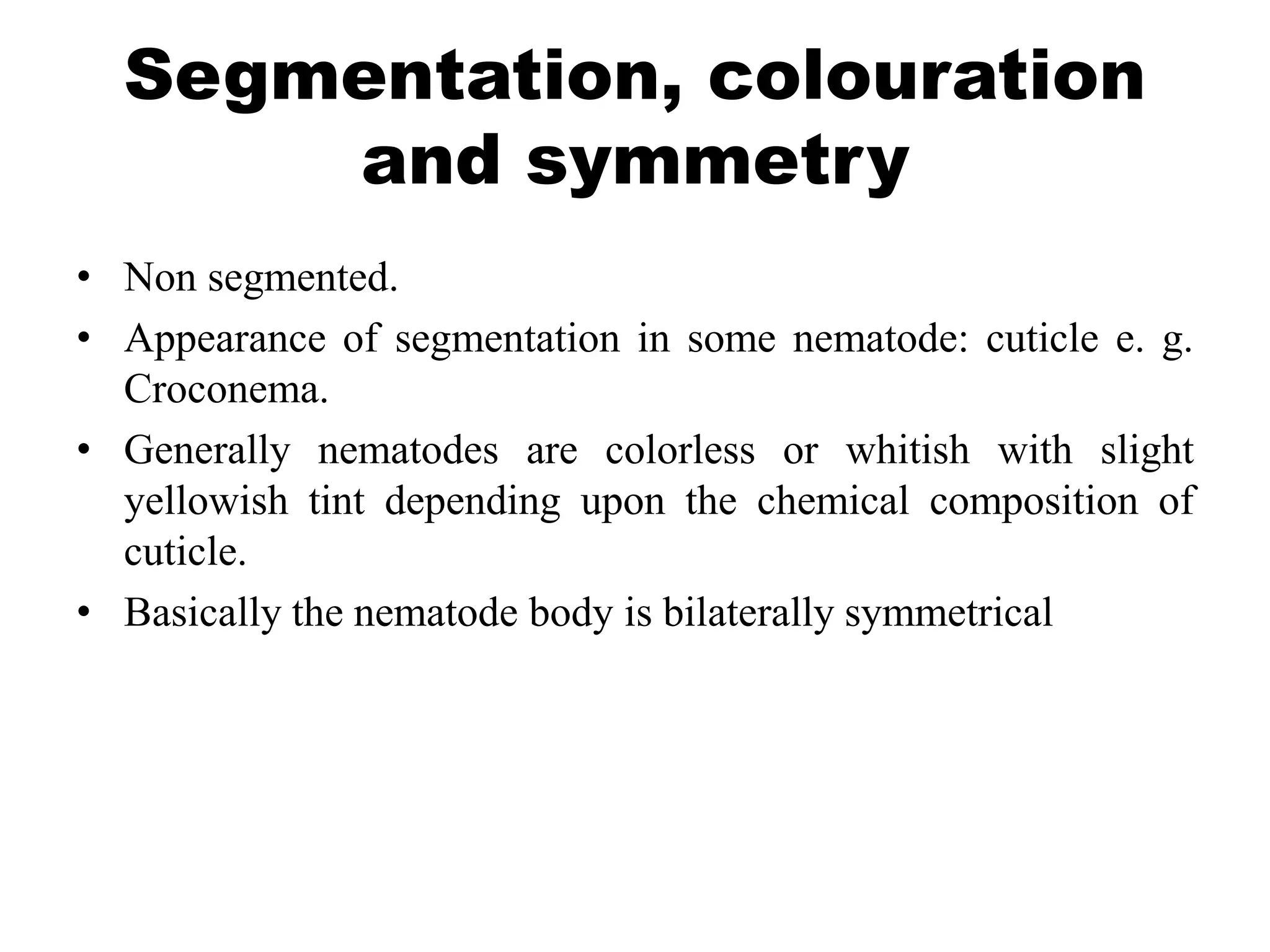 Morphology of nematodes | PPTX