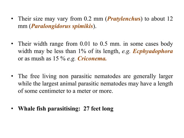 Morphology of nematodes | PPTX | Large Animals | Pets