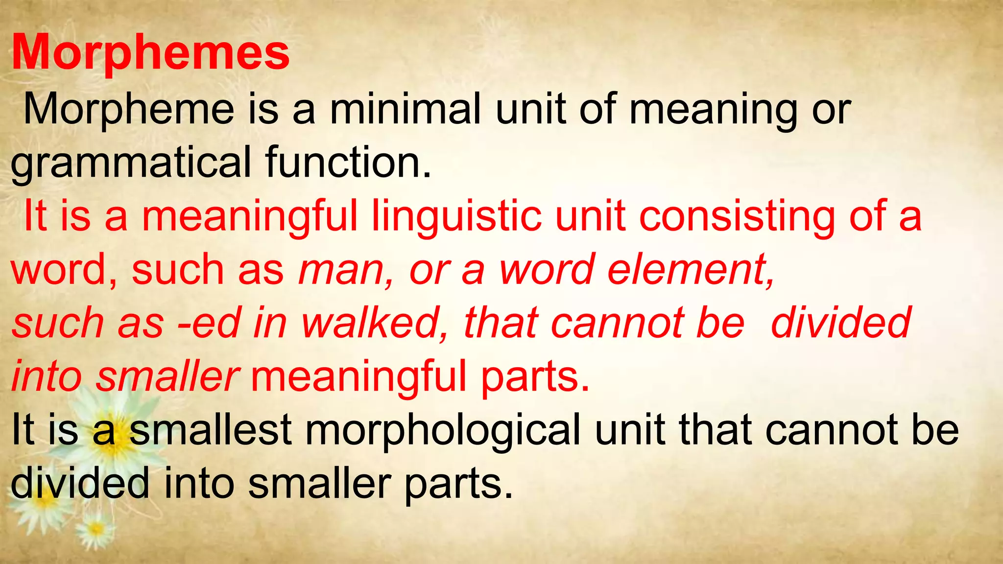 #Morphology# | PPTX