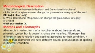 #Morphology# | PPT