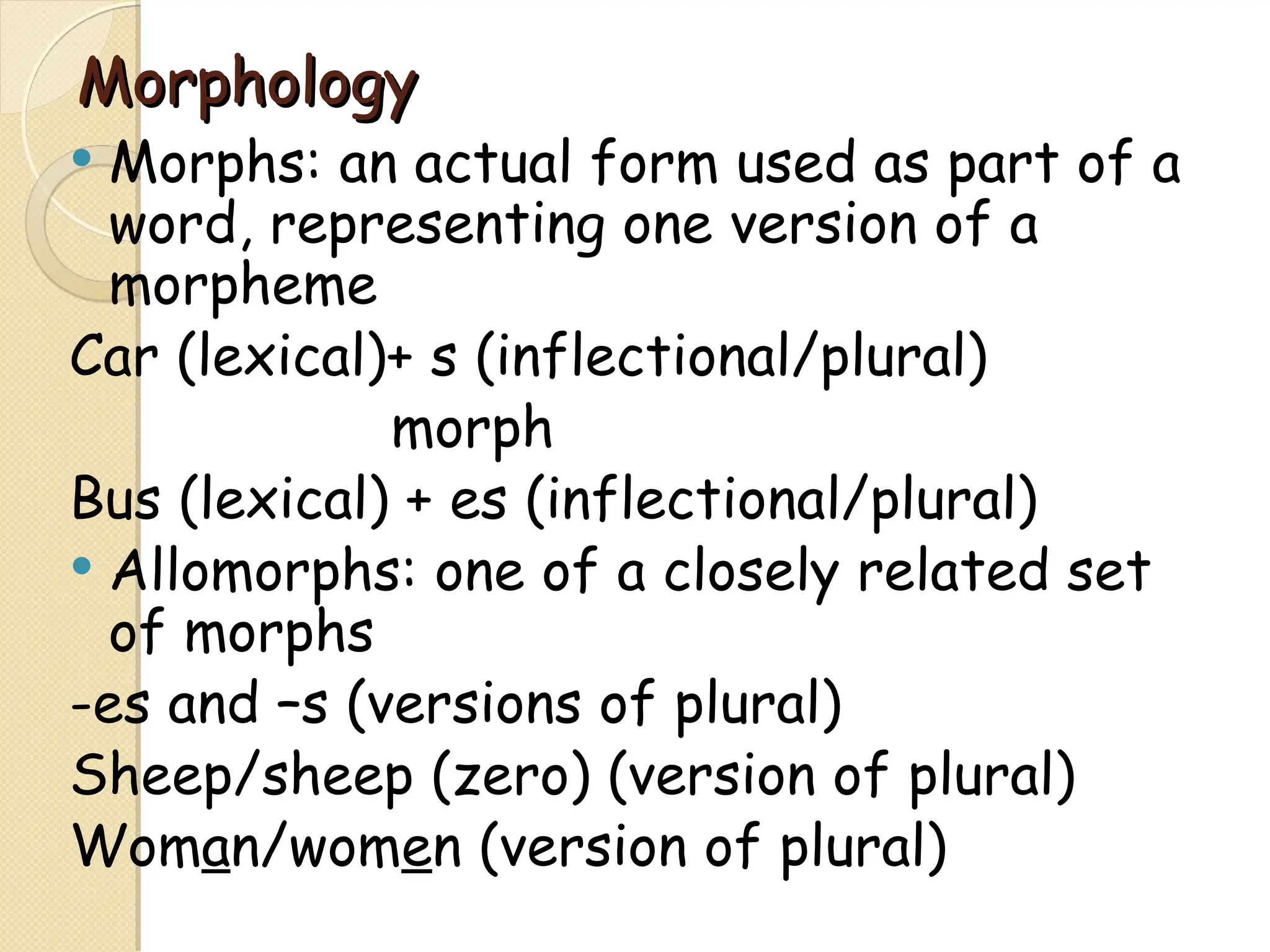 MORPHOLOGY-2024.ppt................................... | PPT