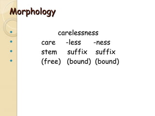 MORPHOLOGY-2024.ppt................................... | PPT