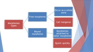 Morphology, the Study of the Morphemes and Word. | PPTX