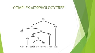 Morphology: THE FORMATION OF WORDS. A TYPE OF LINGUISTIC. | PPT