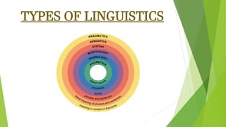 Morphology: THE FORMATION OF WORDS. A TYPE OF LINGUISTIC. | PPT