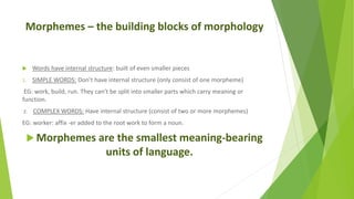 Morphology: THE FORMATION OF WORDS. A TYPE OF LINGUISTIC. | PDF