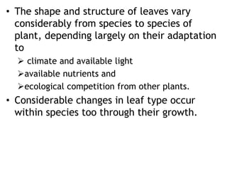 Morphology | PPTX