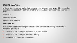 Morphology | PPT