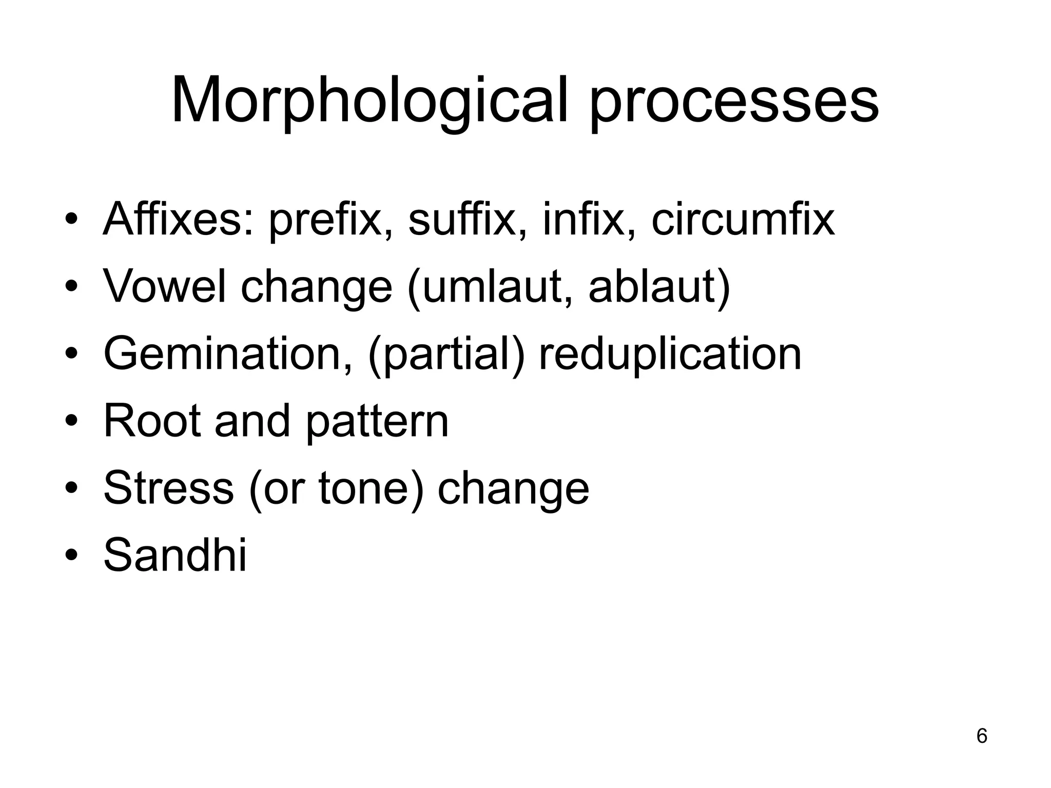 Morphology.ppt