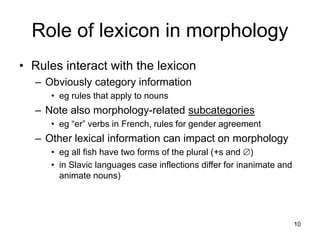 Morphology.ppt