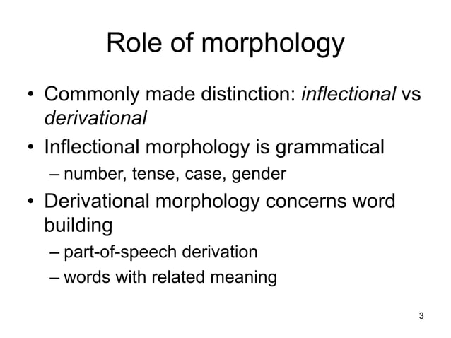 Morphology.ppt