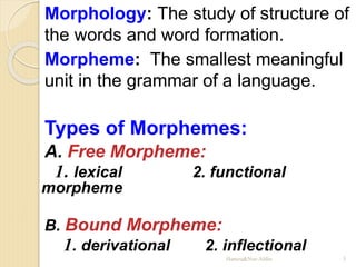 morphology .ppt