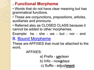morphology .ppt