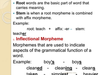 morphology .ppt