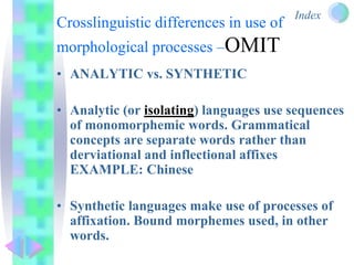 Morphology.2.ppt