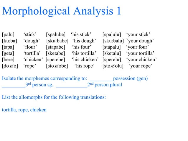 Morphology.2.ppt