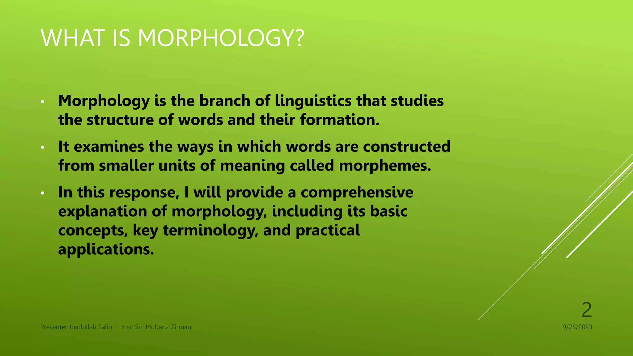 Morphology.pptx