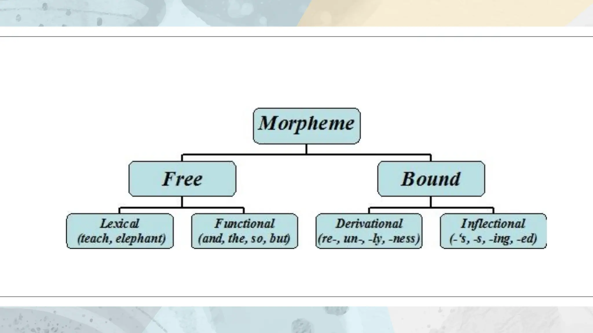 Morphology..pdf what's morphology what's morphology | PDF