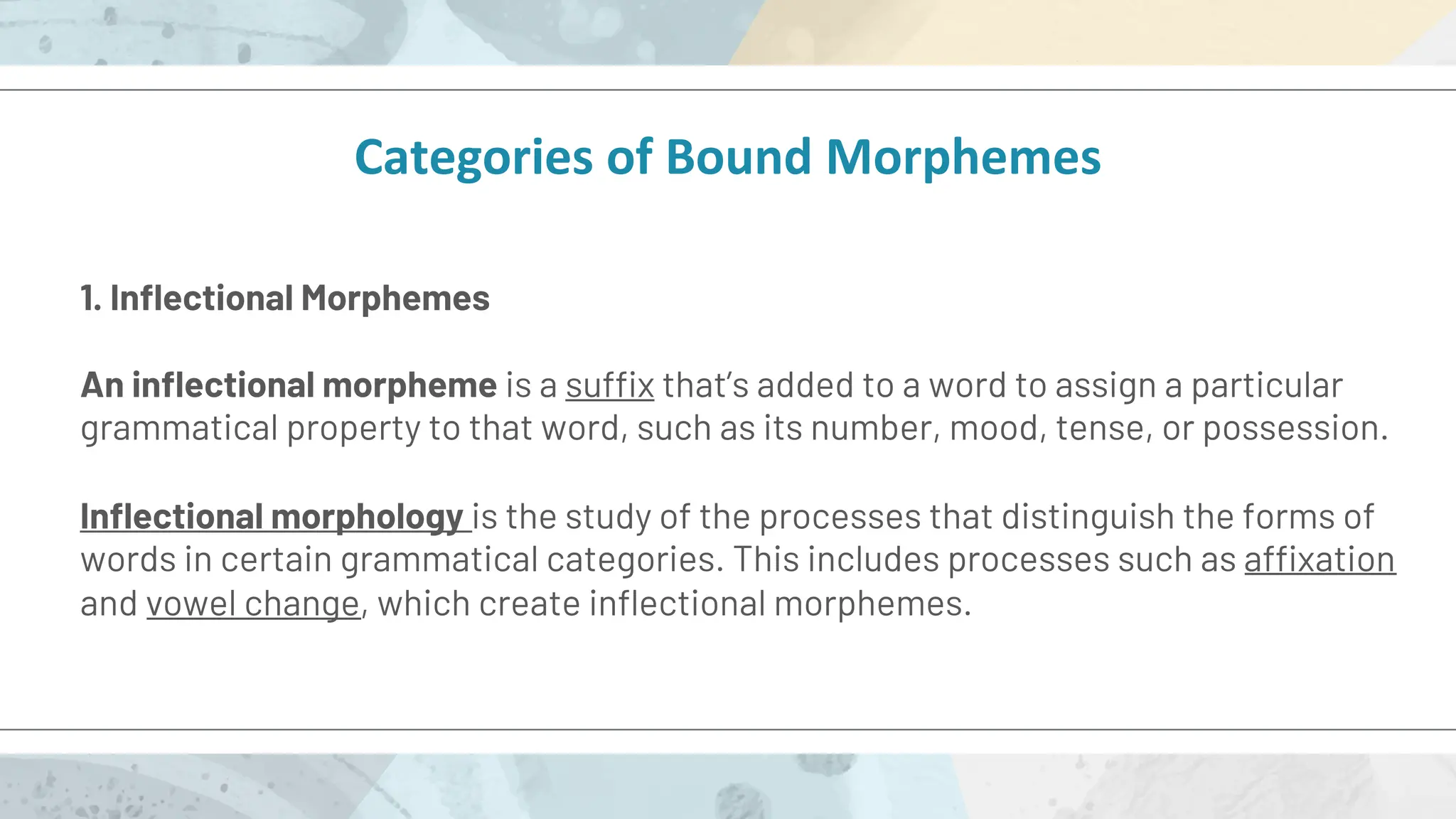 Morphology..pdf what's morphology what's morphology | PDF