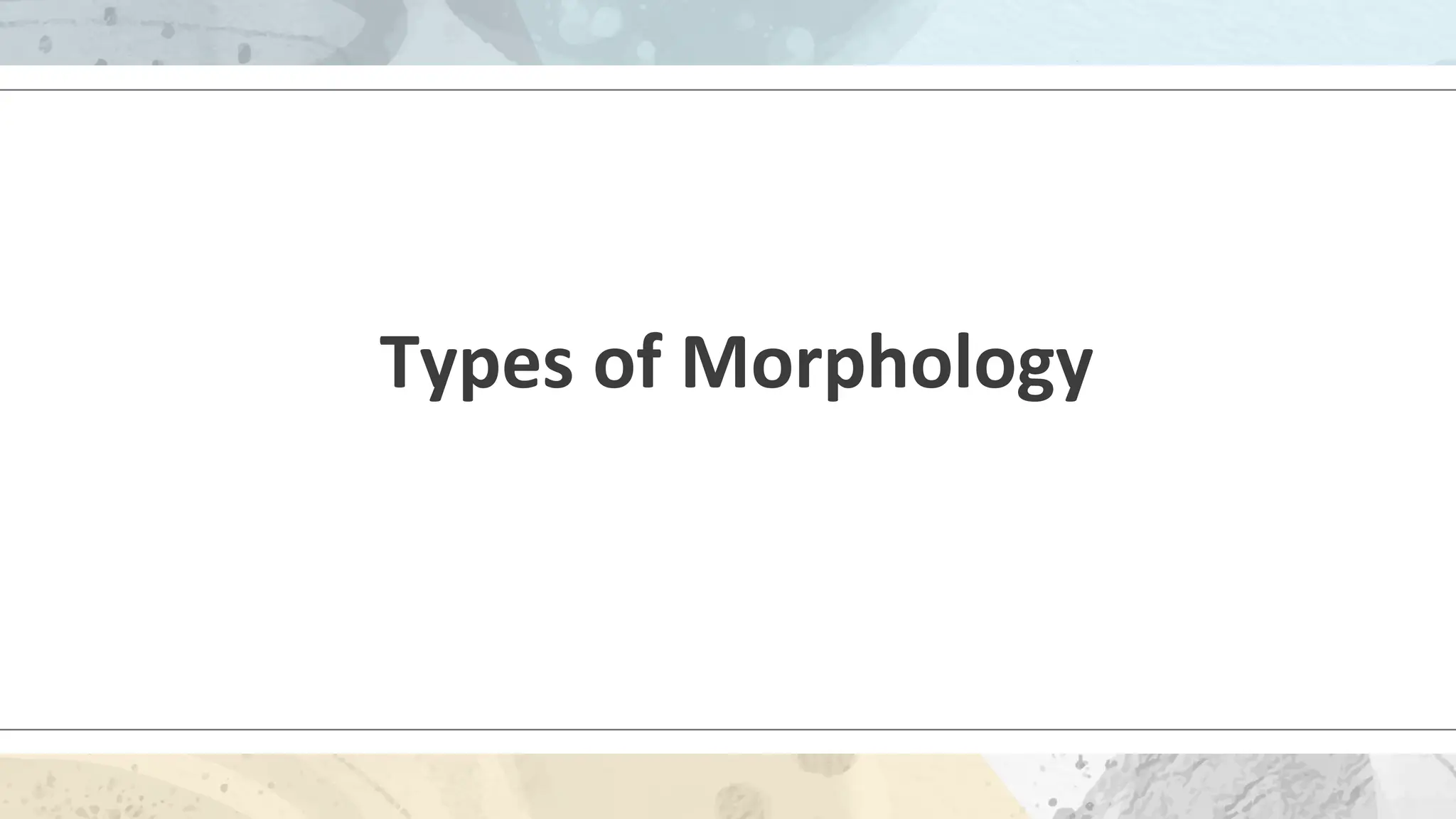 Morphology..pdf what's morphology what's morphology | PPT