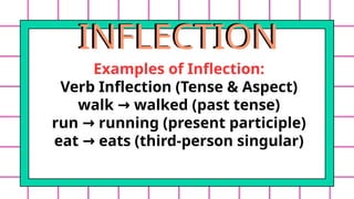 morphology and its definition and its importance | PPTX