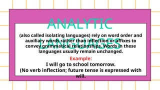 morphology and its definition and its importance | PPTX