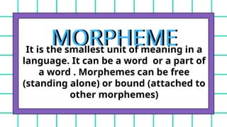 morphology and its definition and its importance | PPTX