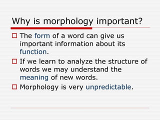 meeting 1 Introduct to Morphology .pptx