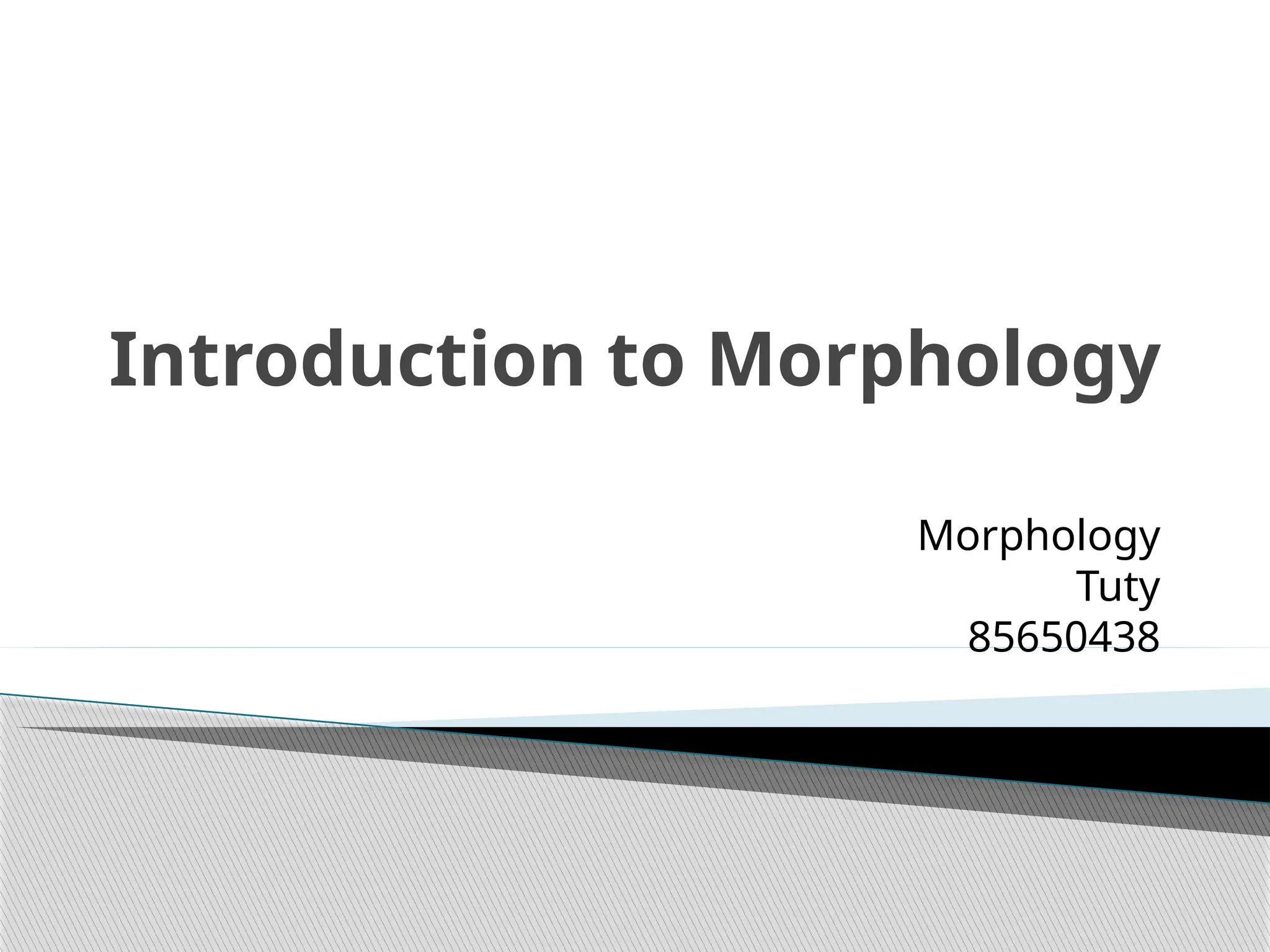 kinds of Morphology in English language.pptx