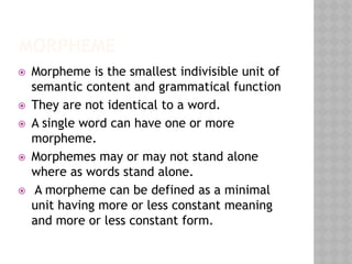 Unit 1 Morphology.pptx - Google Slides.pdf
