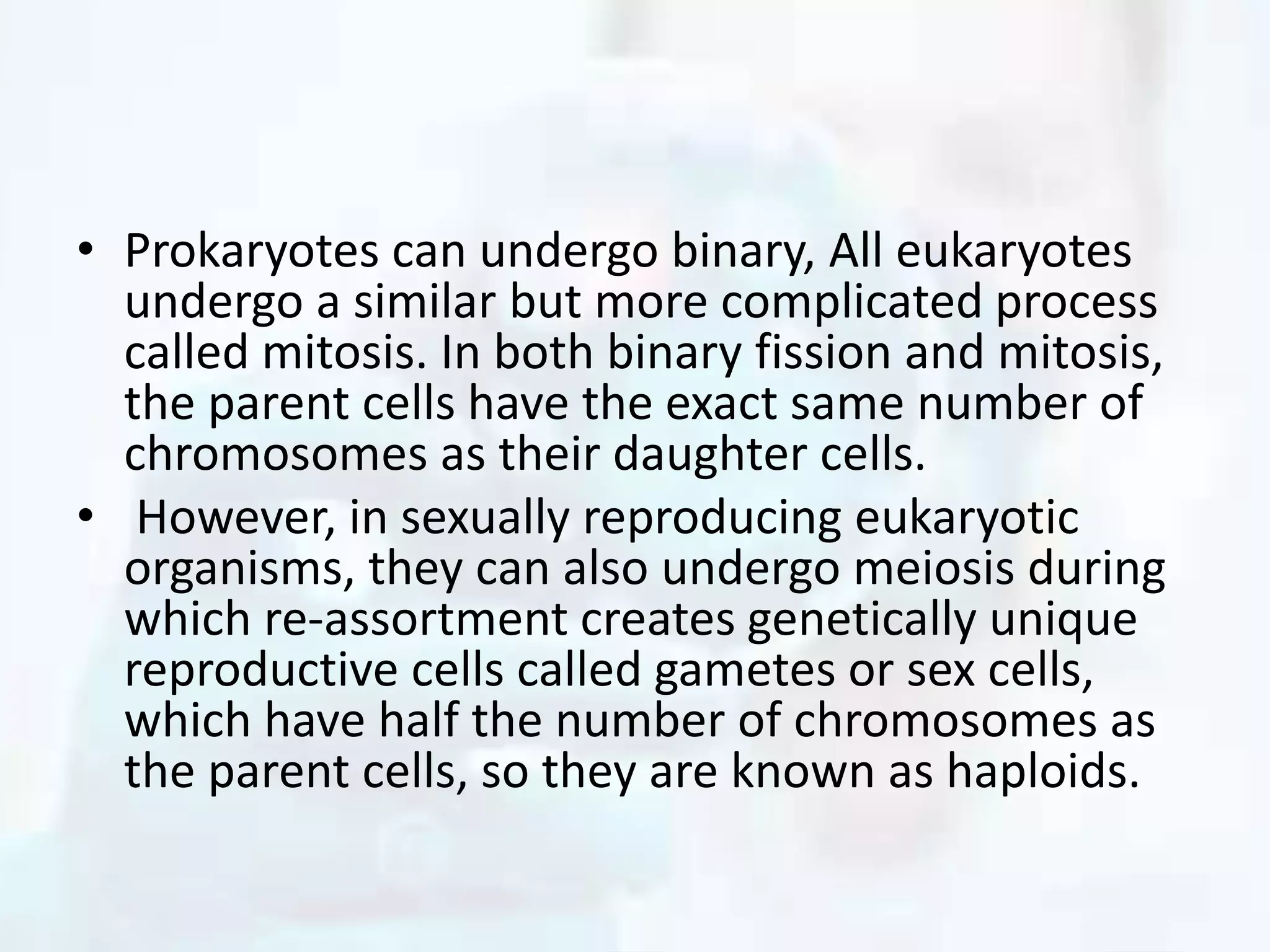 MORPHOLOGY-AND-CLASSIFICATION-OF-BACTERI(1).pptx