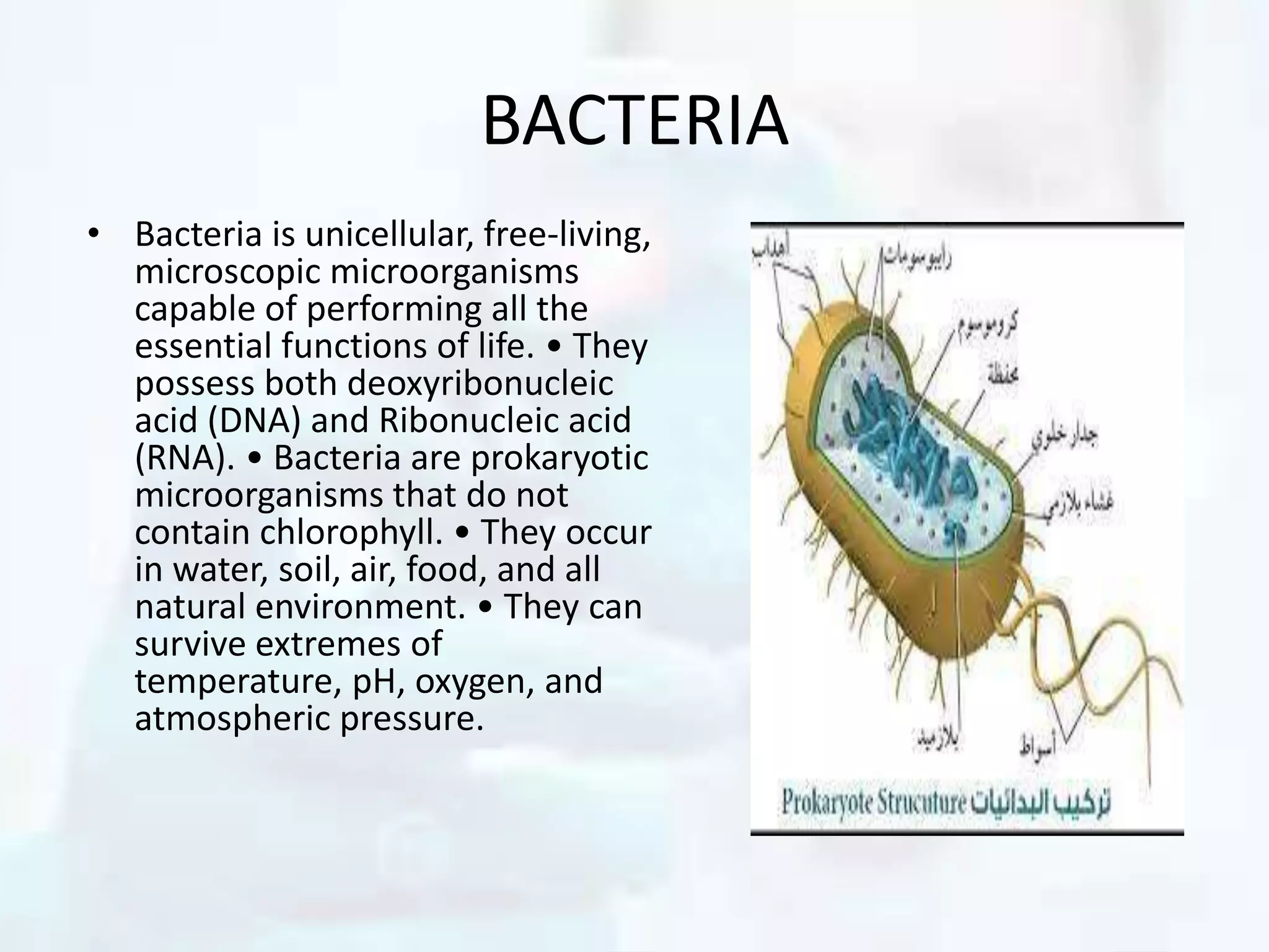 MORPHOLOGY-AND-CLASSIFICATION-OF-BACTERI(1).pptx