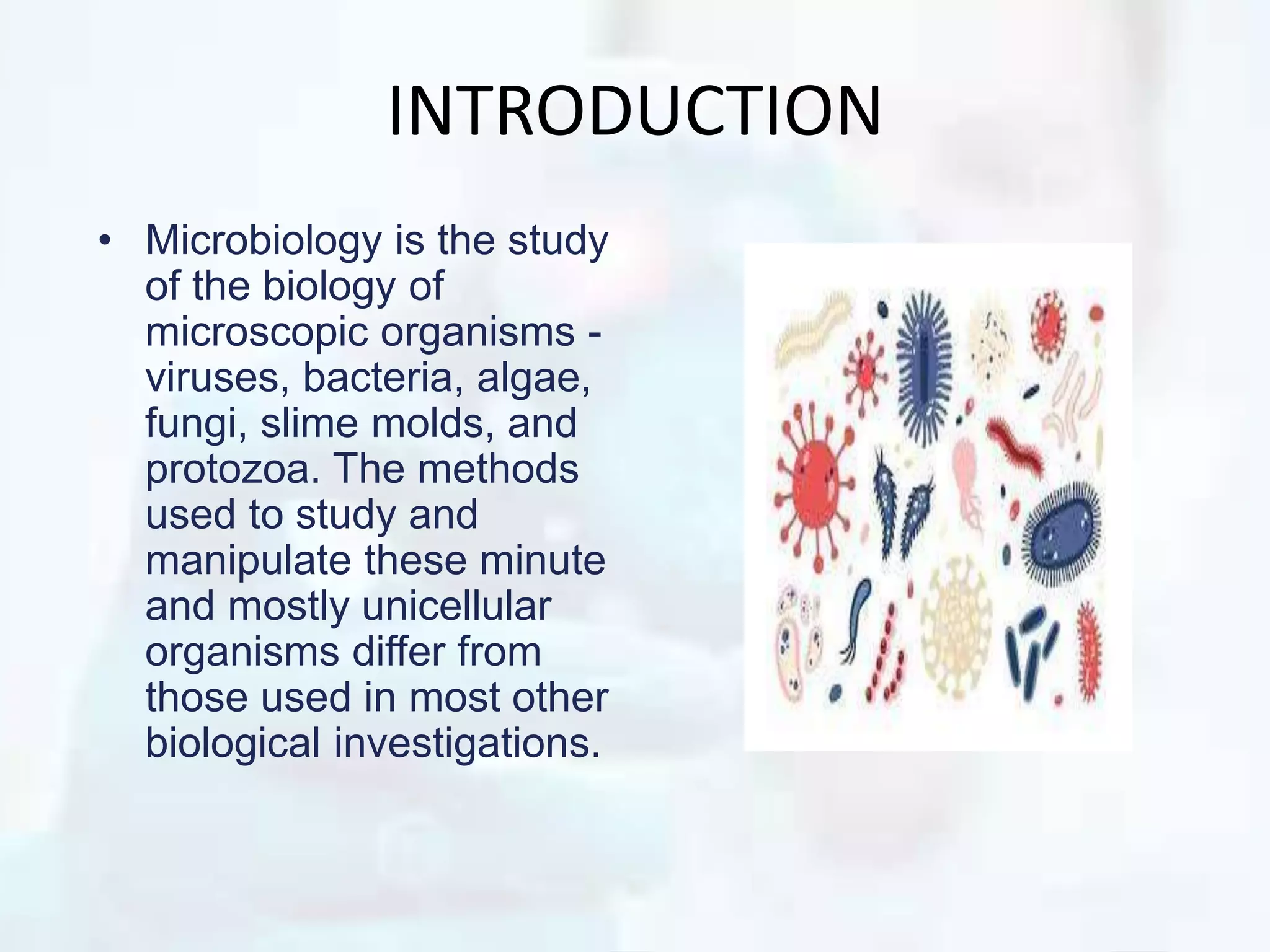 MORPHOLOGY-AND-CLASSIFICATION-OF-BACTERI(1).pptx