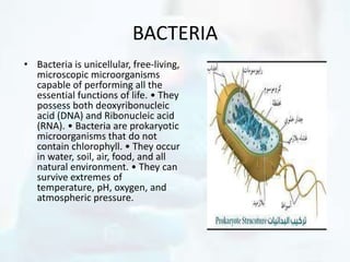 MORPHOLOGY-AND-CLASSIFICATION-OF-BACTERI(1).pptx