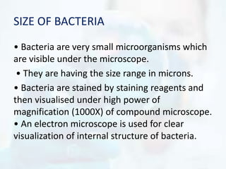 MORPHOLOGY-AND-CLASSIFICATION-OF-BACTERI(1).pptx