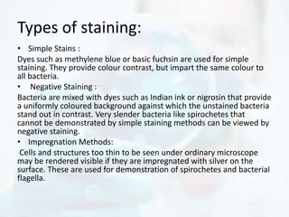 MORPHOLOGY-AND-CLASSIFICATION-OF-BACTERI(1).pptx