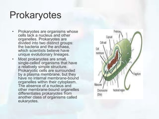 MORPHOLOGY-AND-CLASSIFICATION-OF-BACTERI(1).pptx