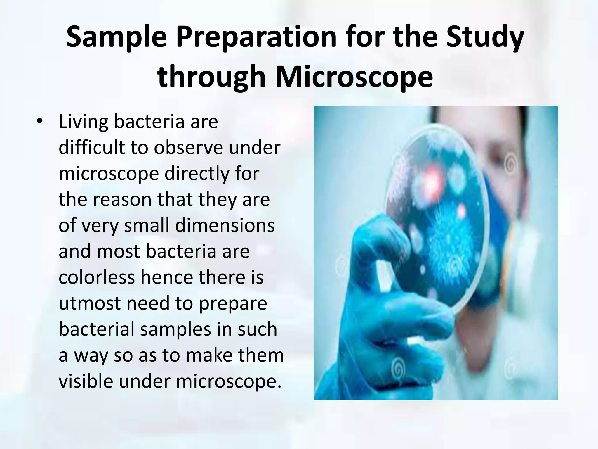 MORPHOLOGY-AND-CLASSIFICATION-OF-BACTERIA(1)-1.pptx