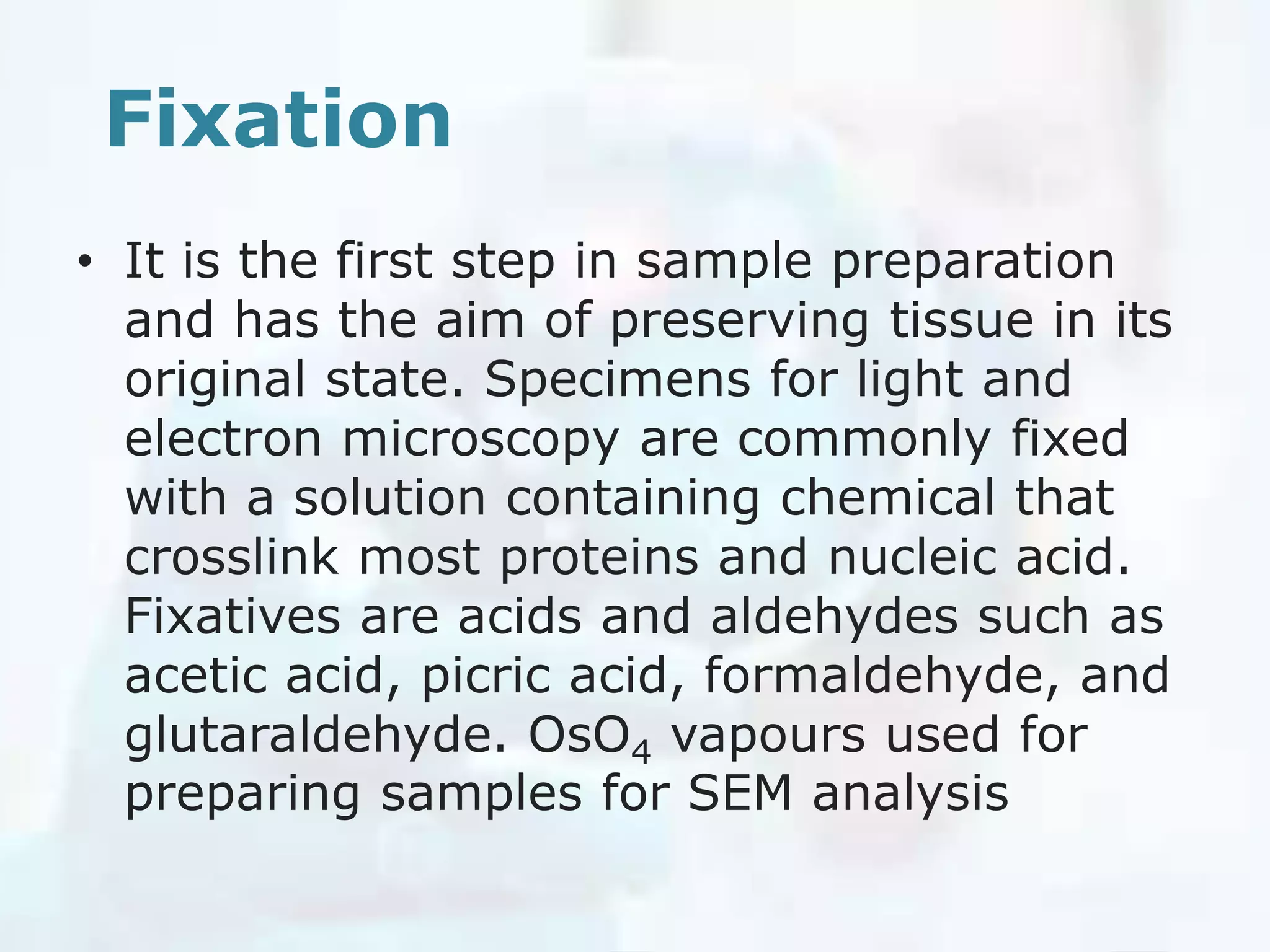 MORPHOLOGY-AND-CLASSIFICATION-OF-BACTERIA(1)-1.pptx