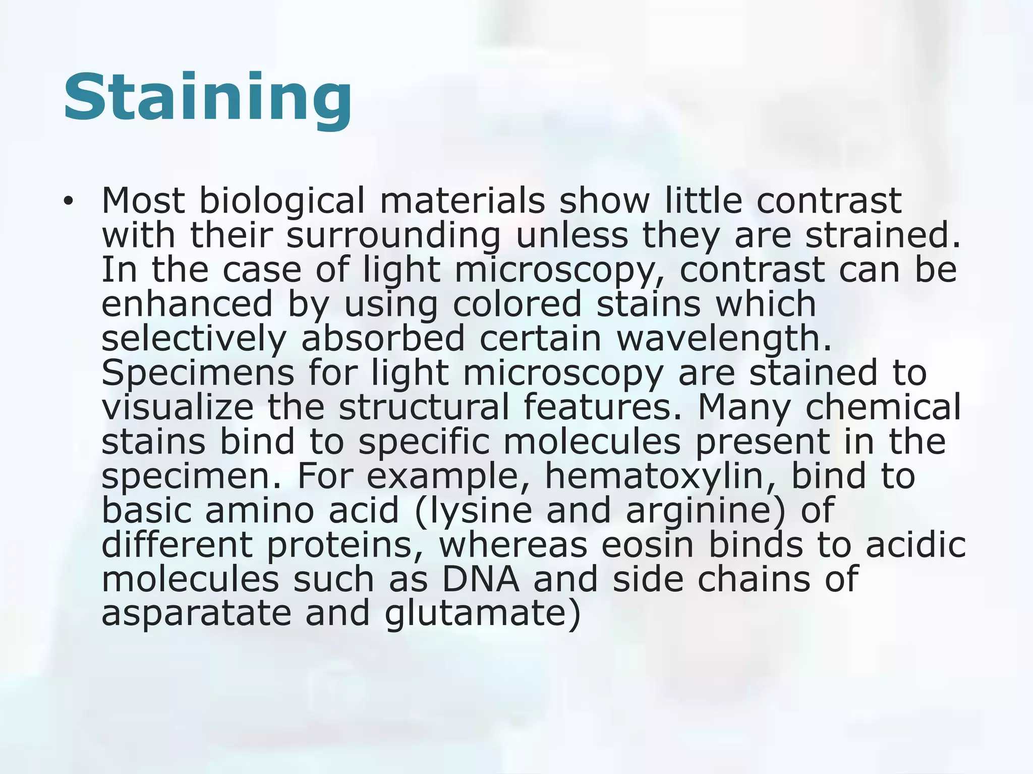 MORPHOLOGY-AND-CLASSIFICATION-OF-BACTERIA(1)-1.pptx