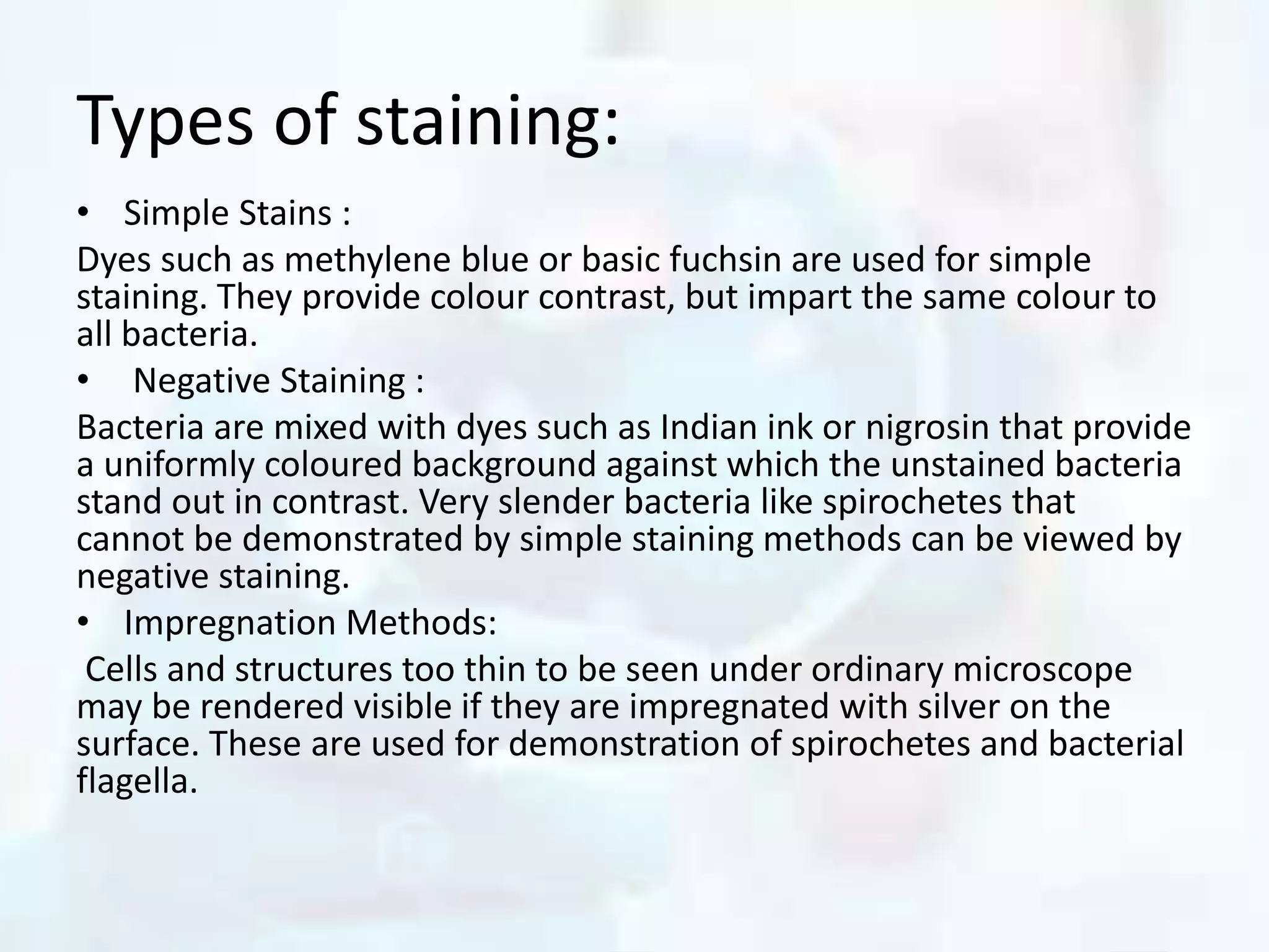MORPHOLOGY-AND-CLASSIFICATION-OF-BACTERIA(1)-1.pptx