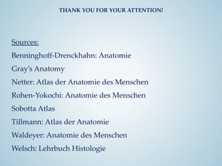 morphology-and-histology-of-the-penis_2019_ED_LD.pdf