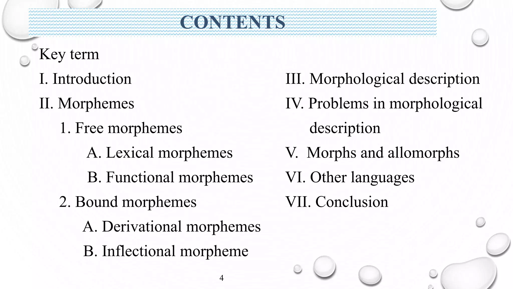 Morphology ch 2, group 1 | PPTX