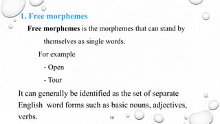 Morphology ch 2, group 1 | PPTX