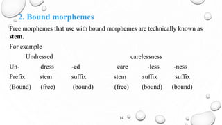 Morphology ch 2, group 1 | PPTX