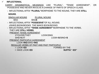 morphology--chapter 3.ppt