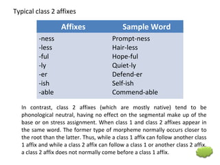 Morphology derivation | PPT