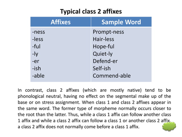 Morphology derivation | PPT