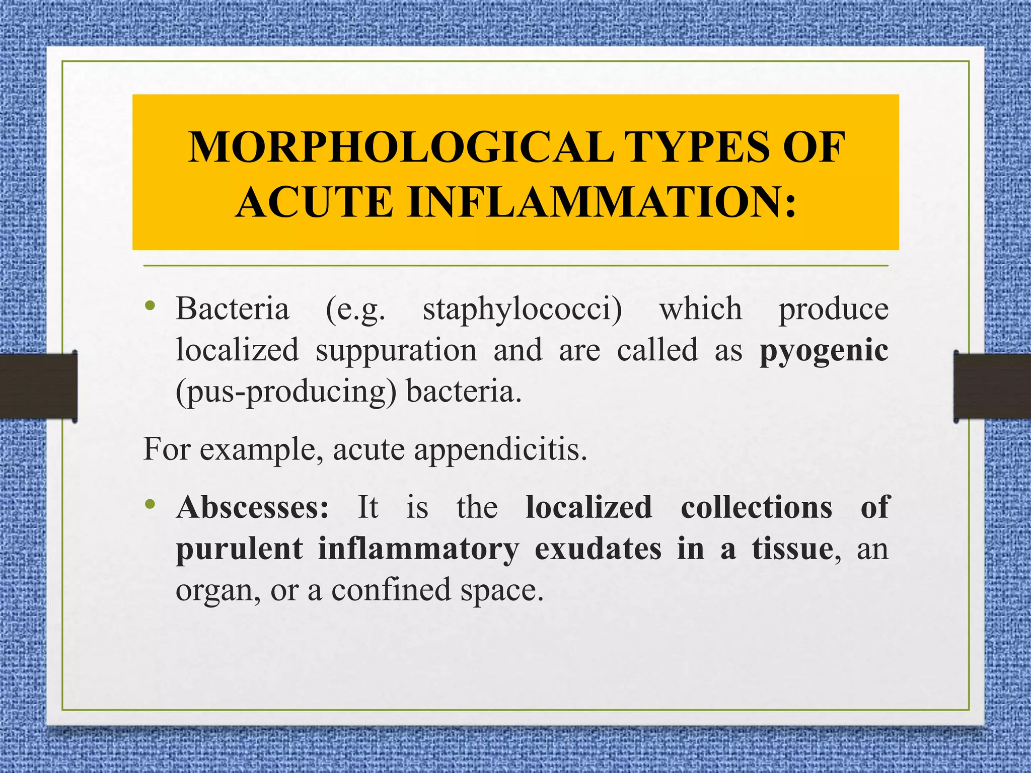 Morphology of-acute-inflammation | PPT