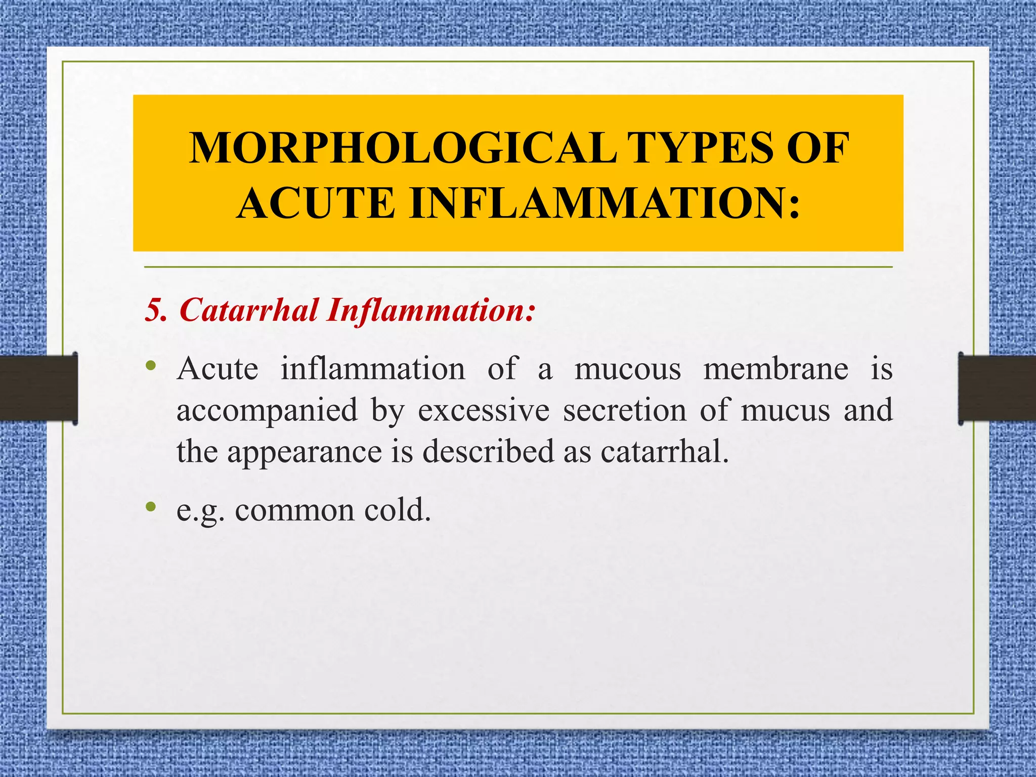 Morphology of-acute-inflammation | PPT